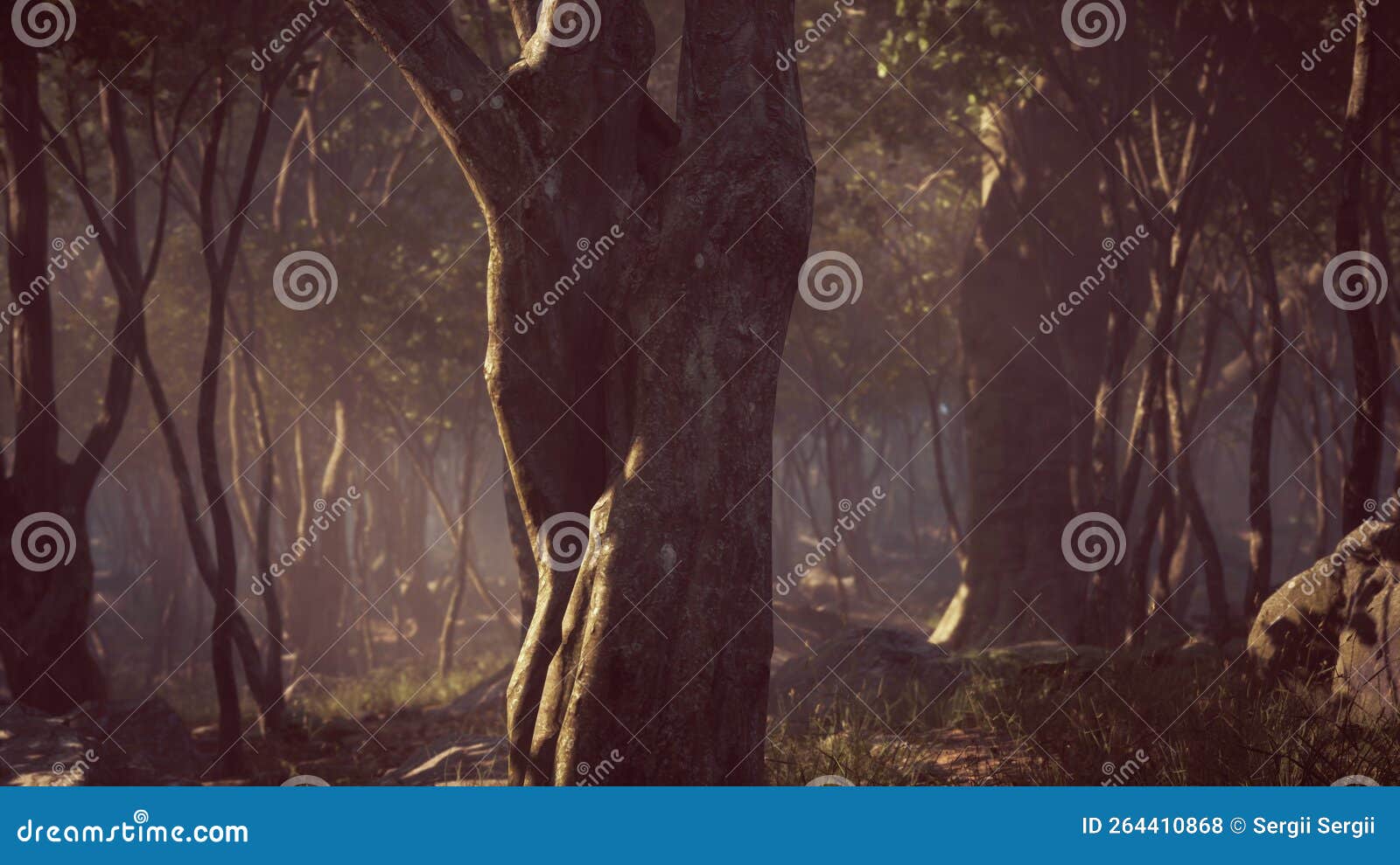 Creepy Mystic Magic Deep Forest Stock Illustration - Illustration of ...