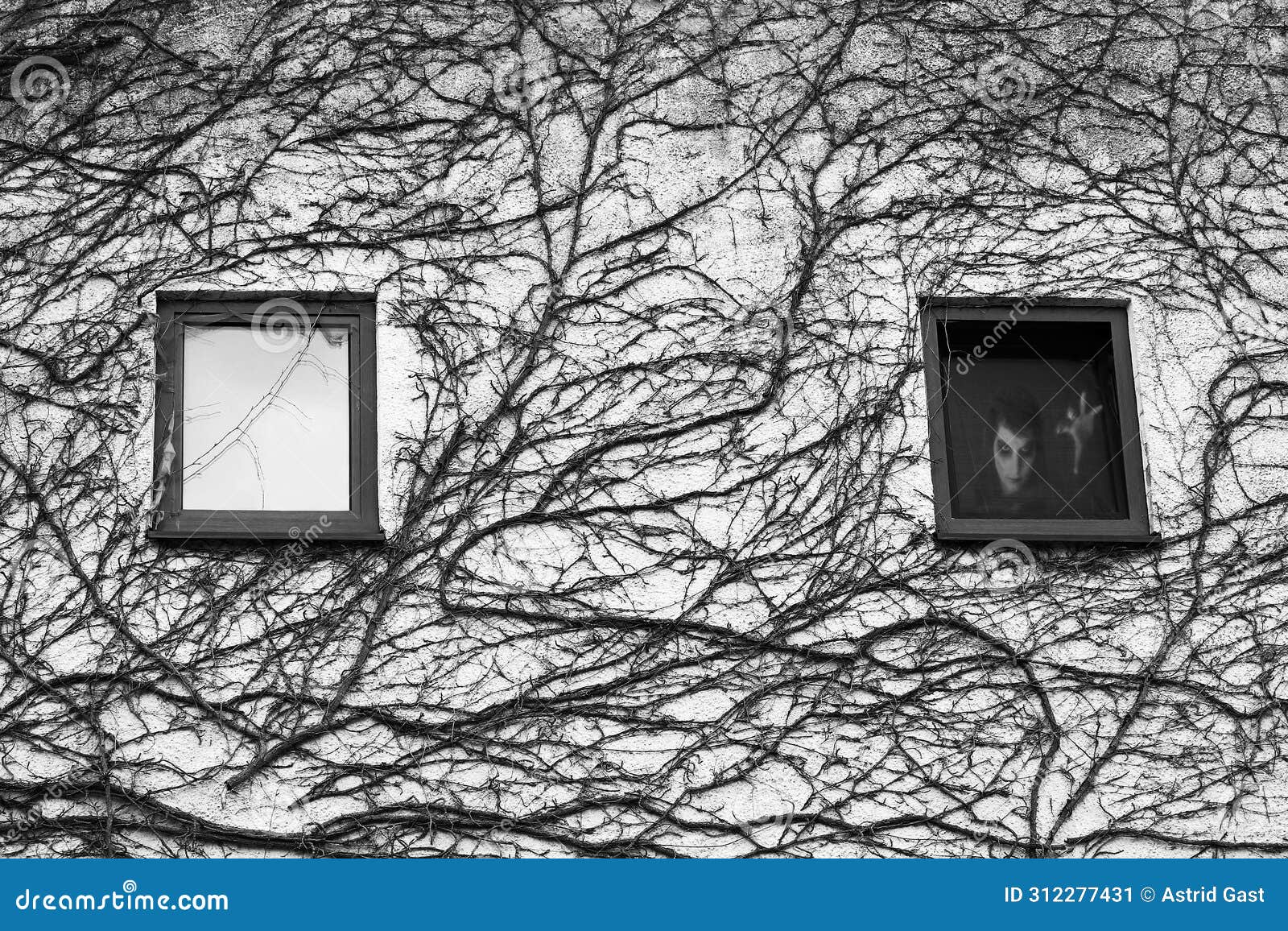 A Creepy Old House with an Eerie Figure in the Window Stock Image ...