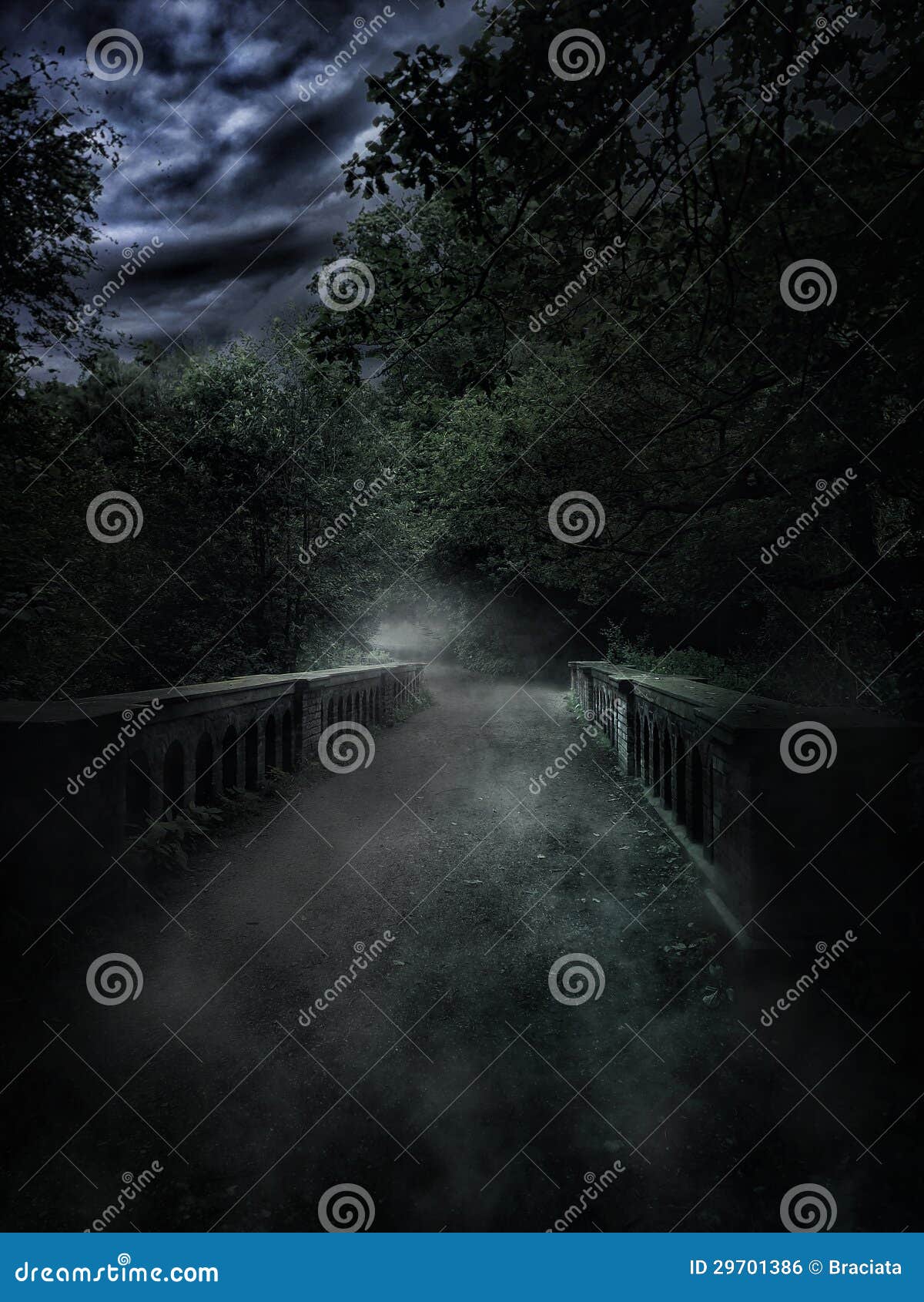 Path in a Park stock photo. Image of walk, night, mystic - 29701386