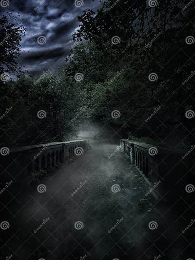 Path in a Park stock photo. Image of walk, night, mystic - 29701386