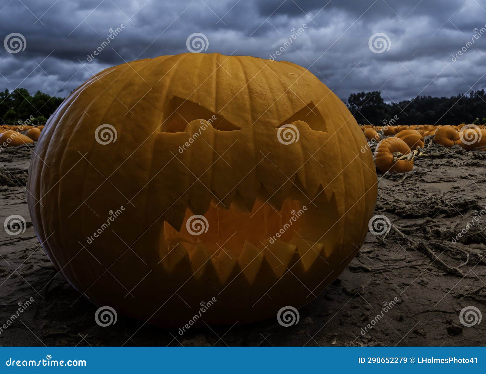 Creepy Pumpkin in a Pumpkin Patch Under a Dark Cloudy Sky Stock Image ...