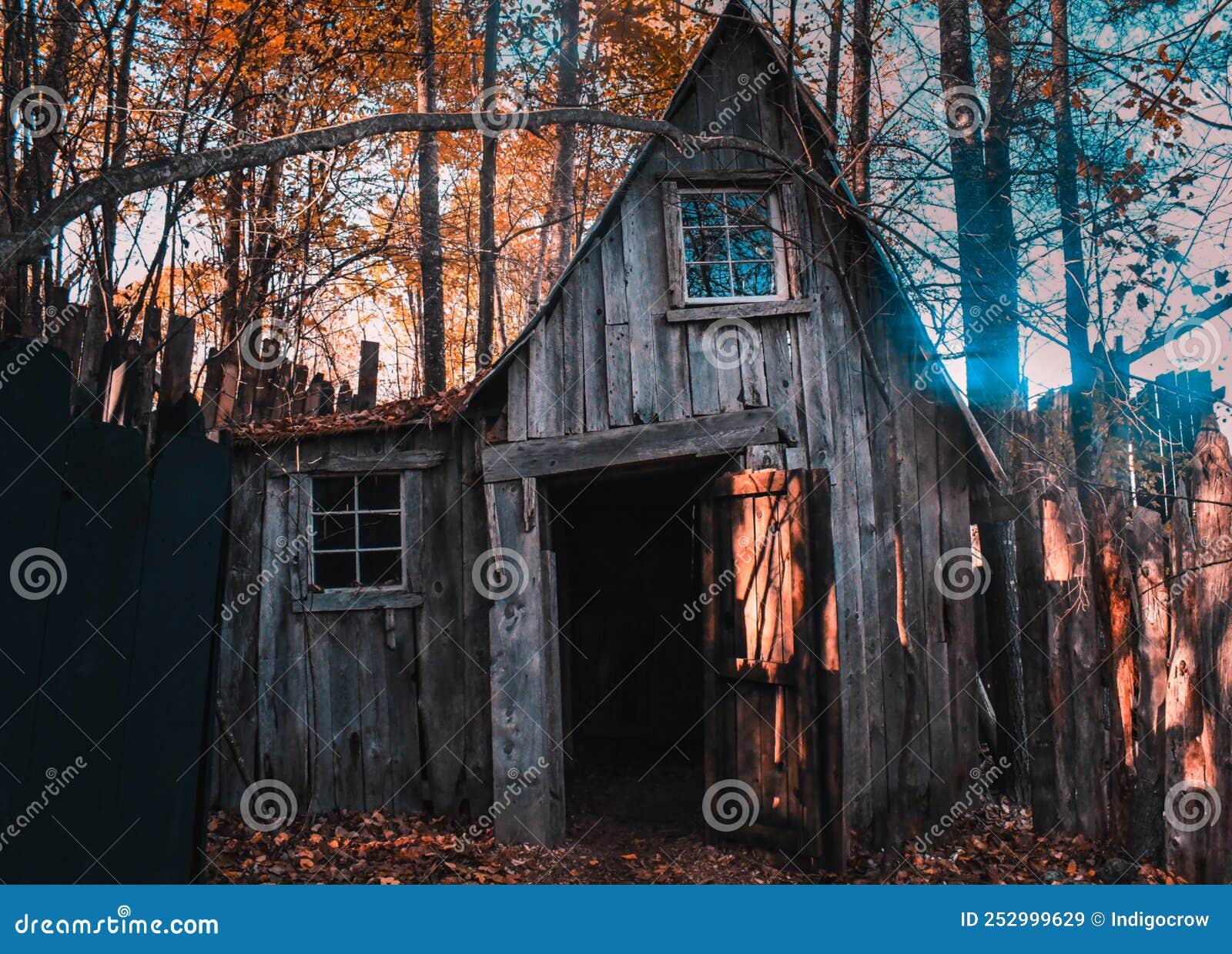 Creepy Shack stock image. Image of forest, woods, haunted - 252999629
