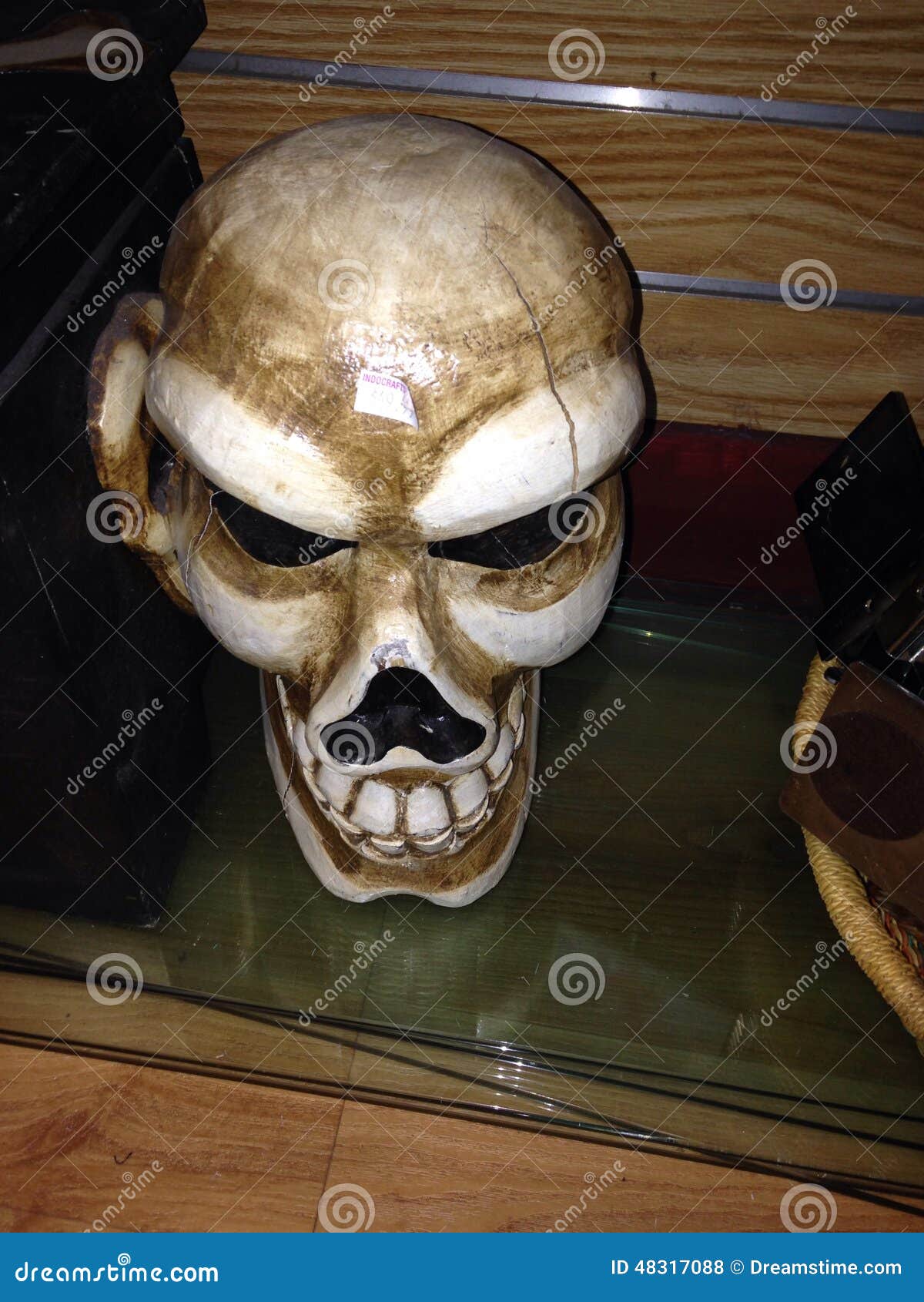 Creepy SKULL stock photo. Image of shop, looking, skull - 48317088
