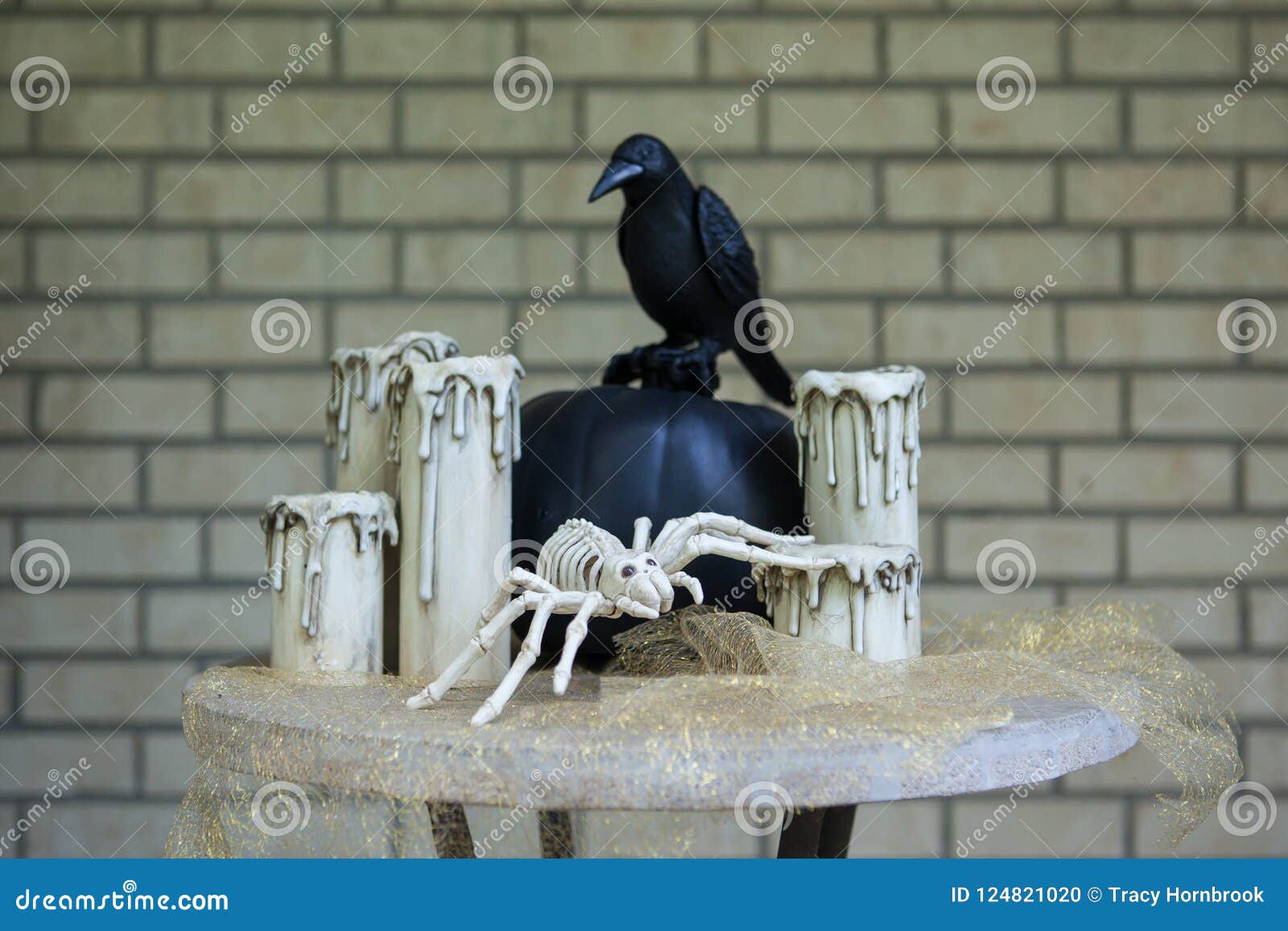 Creepy Spider and Crow Decorations Stock Photo - Image of skeleton ...