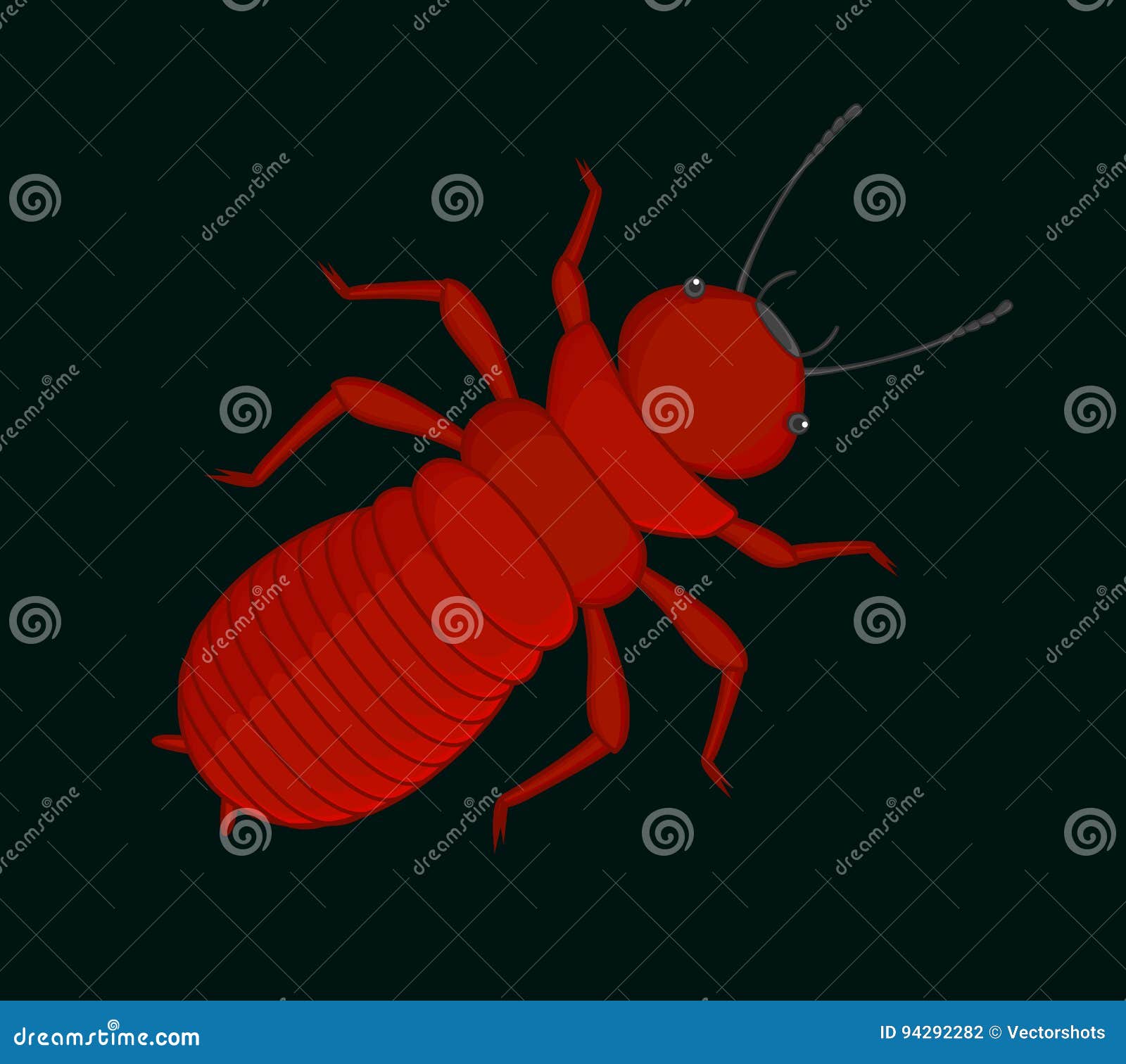 Termite,insect,nest,teeth,bite,nest,nuisance,sharp,disease,nature,wood ...