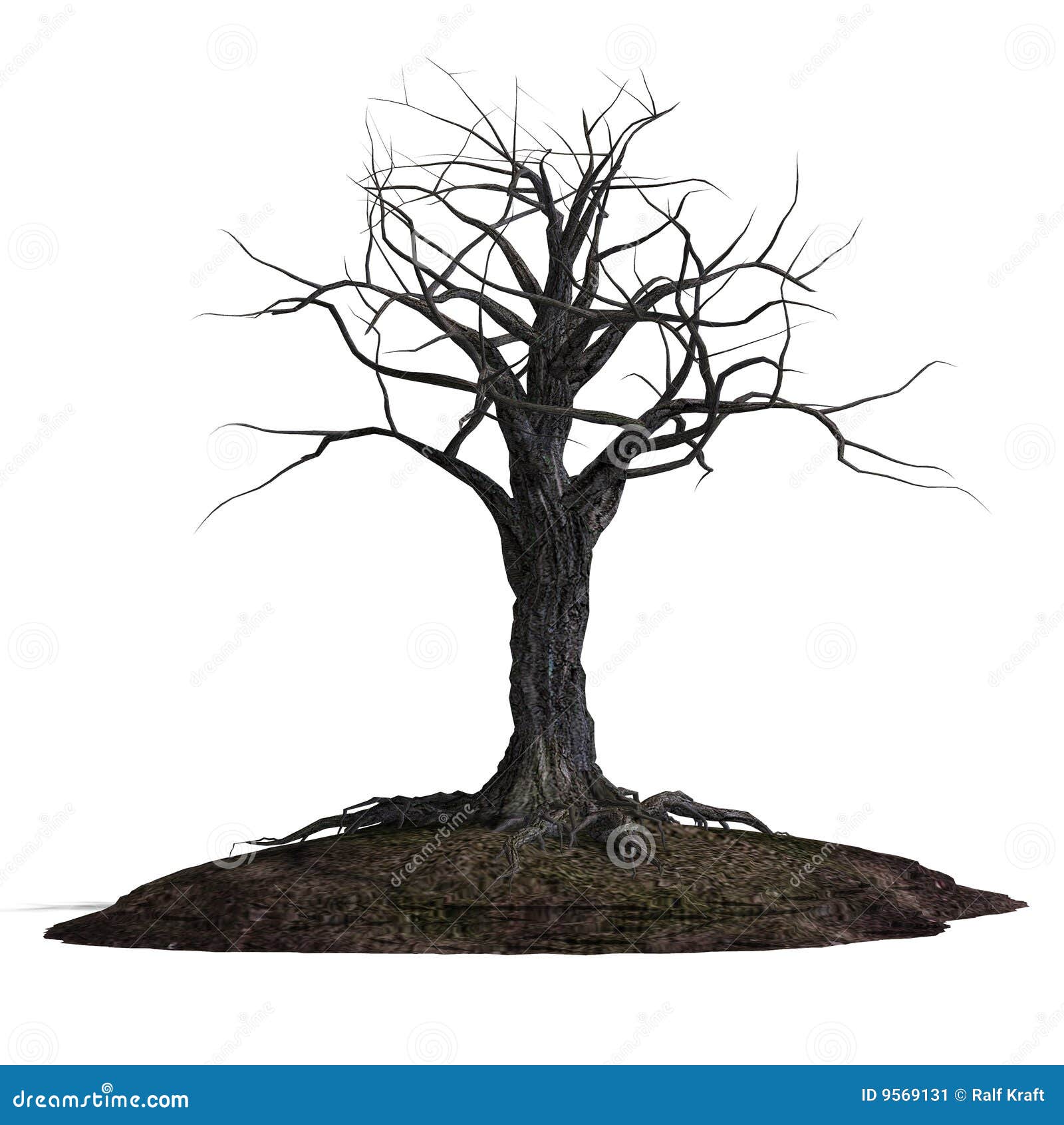 Creepy Tree Stock Image - Image: 9569131