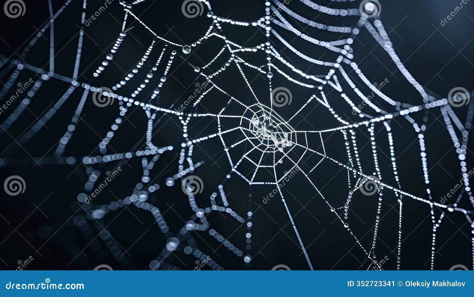 Creepy White Spider Web on Black Background Stock Image - Image of ...