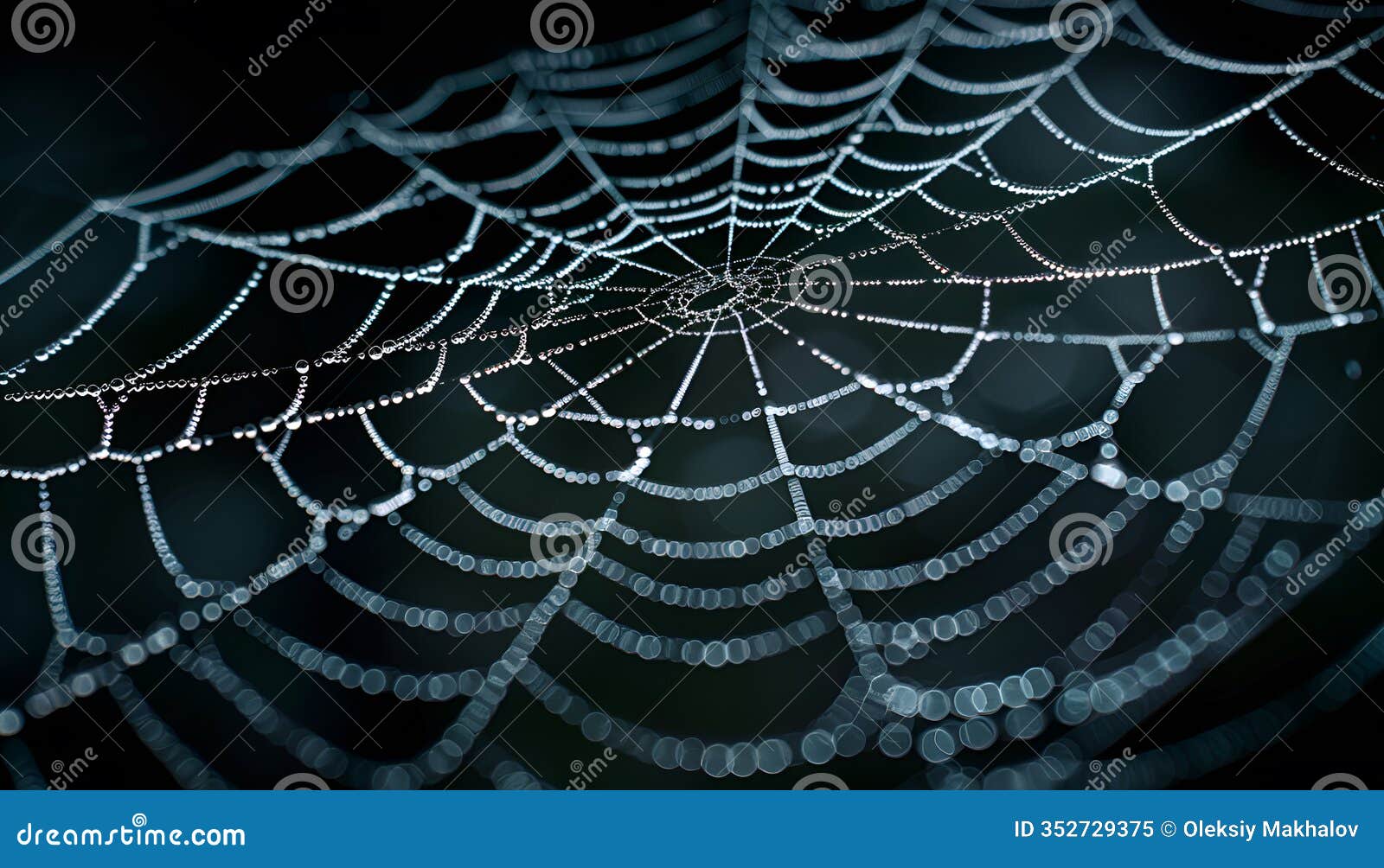 Creepy White Spider Web on Black Background Stock Image - Image of ...