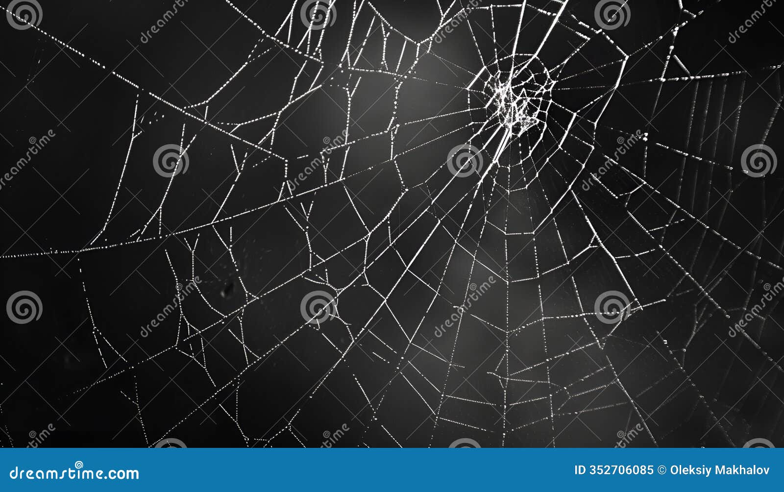 Creepy White Spider Web on Black Background Stock Image - Image of ...