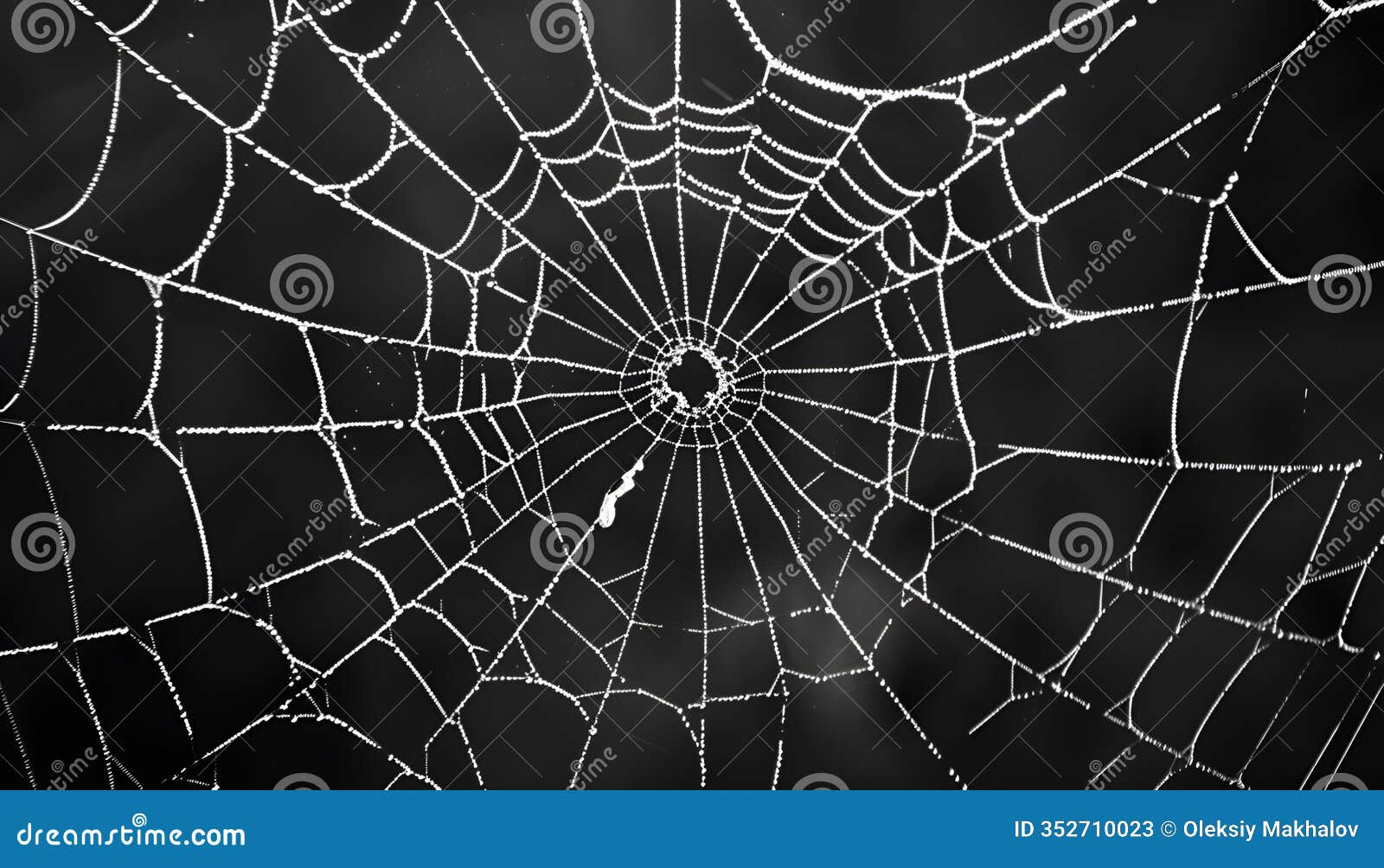 Creepy White Spider Web on Black Background Stock Image - Image of ...