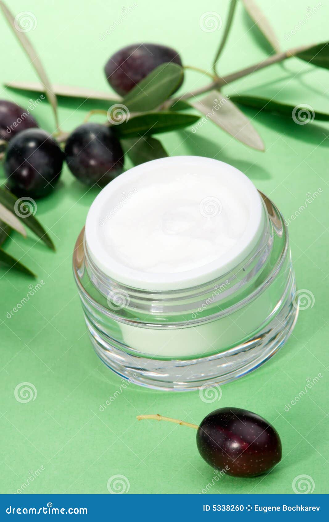 Crema De Cara Y Ramita De La Aceituna Foto de archivo - Imagen de ...