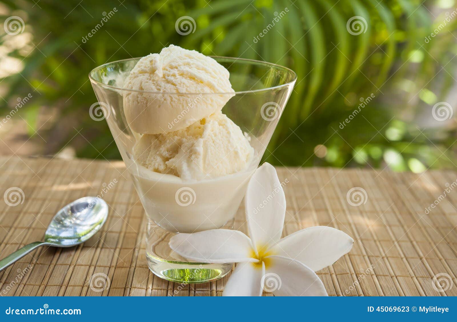 Crema Tropical De Vanilla Ice Imagen de archivo - Imagen de plato ...