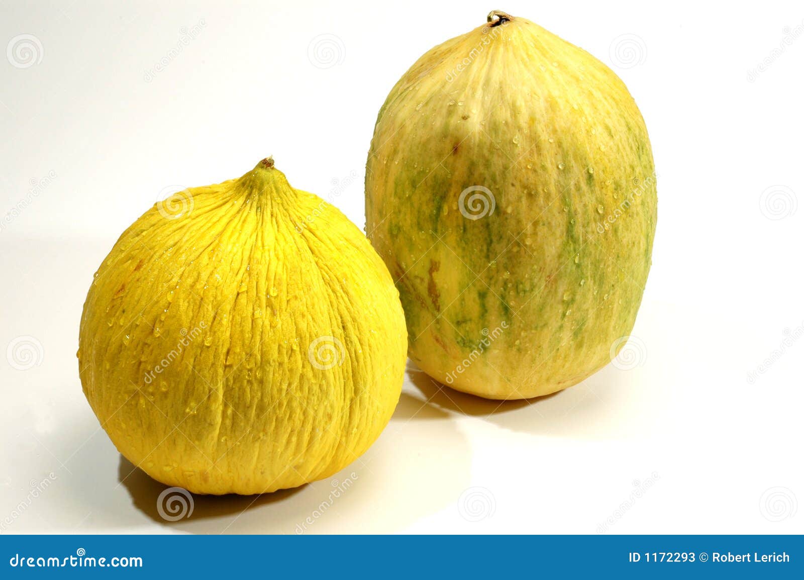 Crenshaw casaba stock image. Image of salad, slices, sliced - 1172293