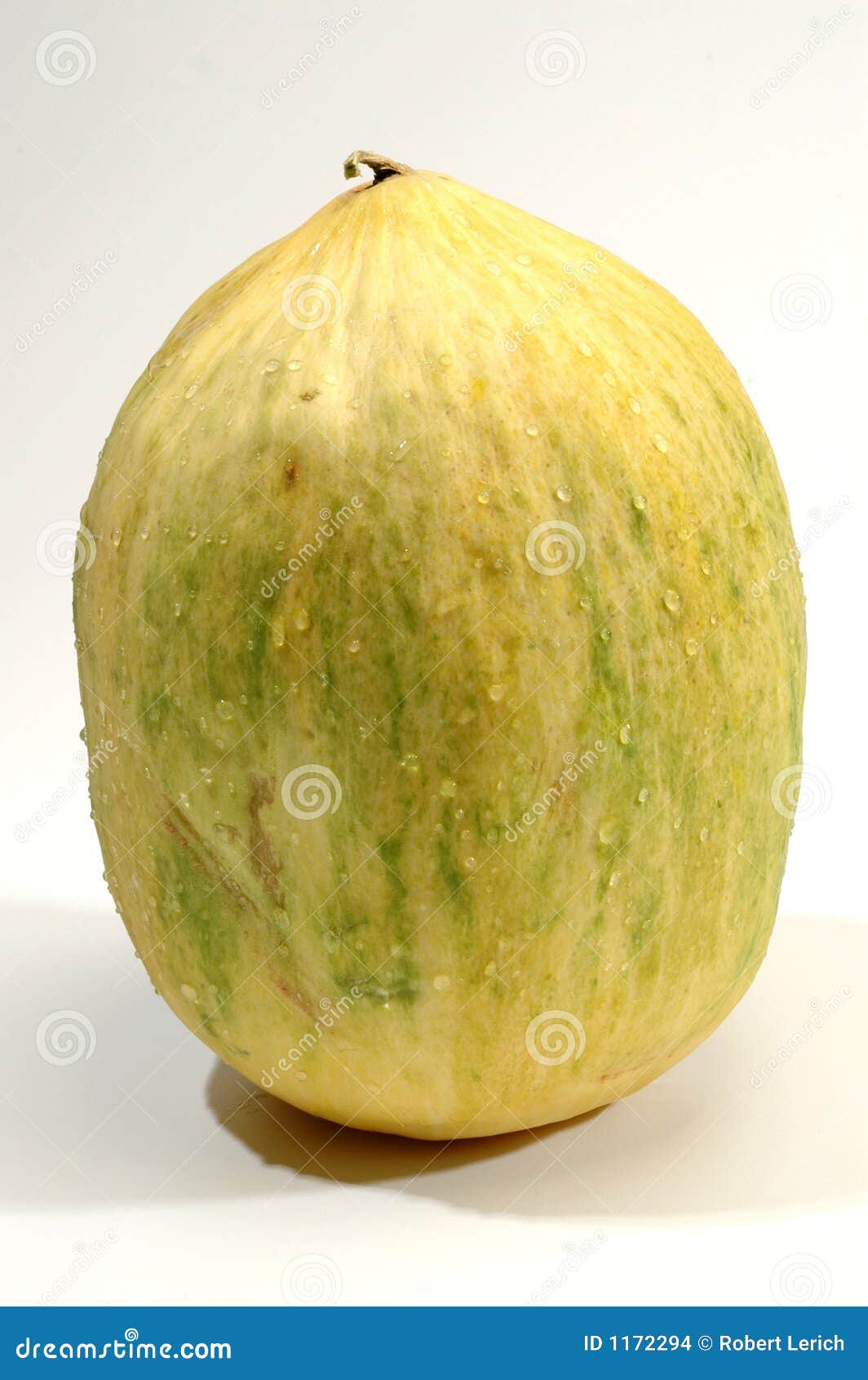 Crenshaw melon stock photo. Image of flesh, fresh, food - 1172294
