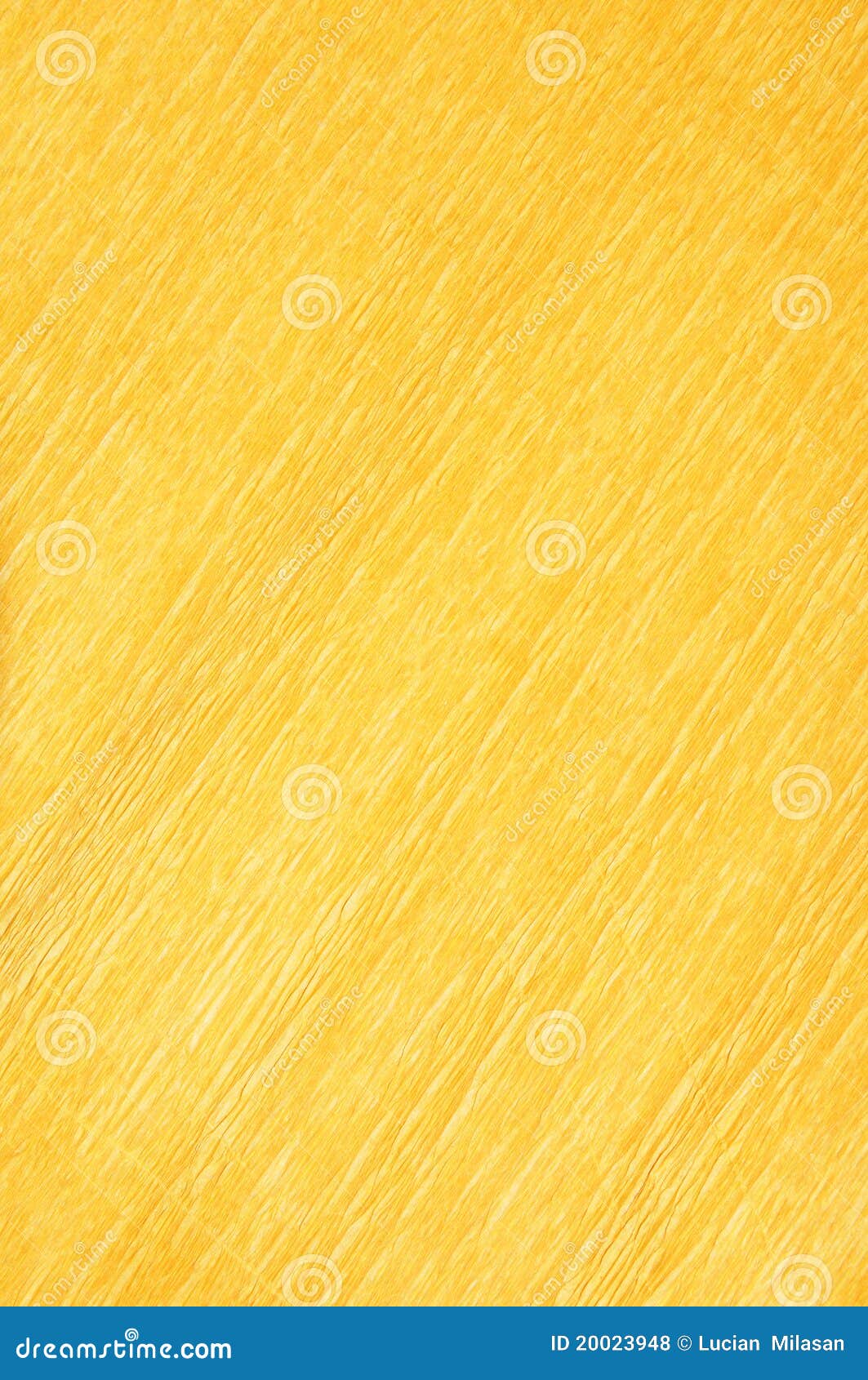 Crepe Paper Flower Bouquet Royalty-Free Stock Image | CartoonDealer.com ...