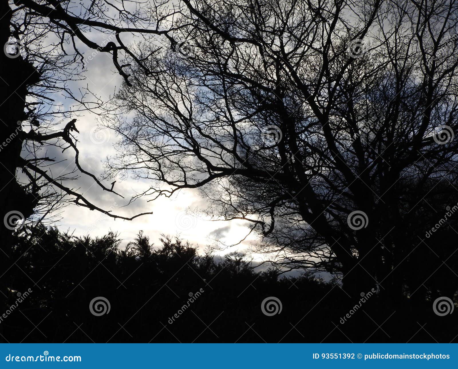 Crepuscular Sky Picture. Image: 93551392