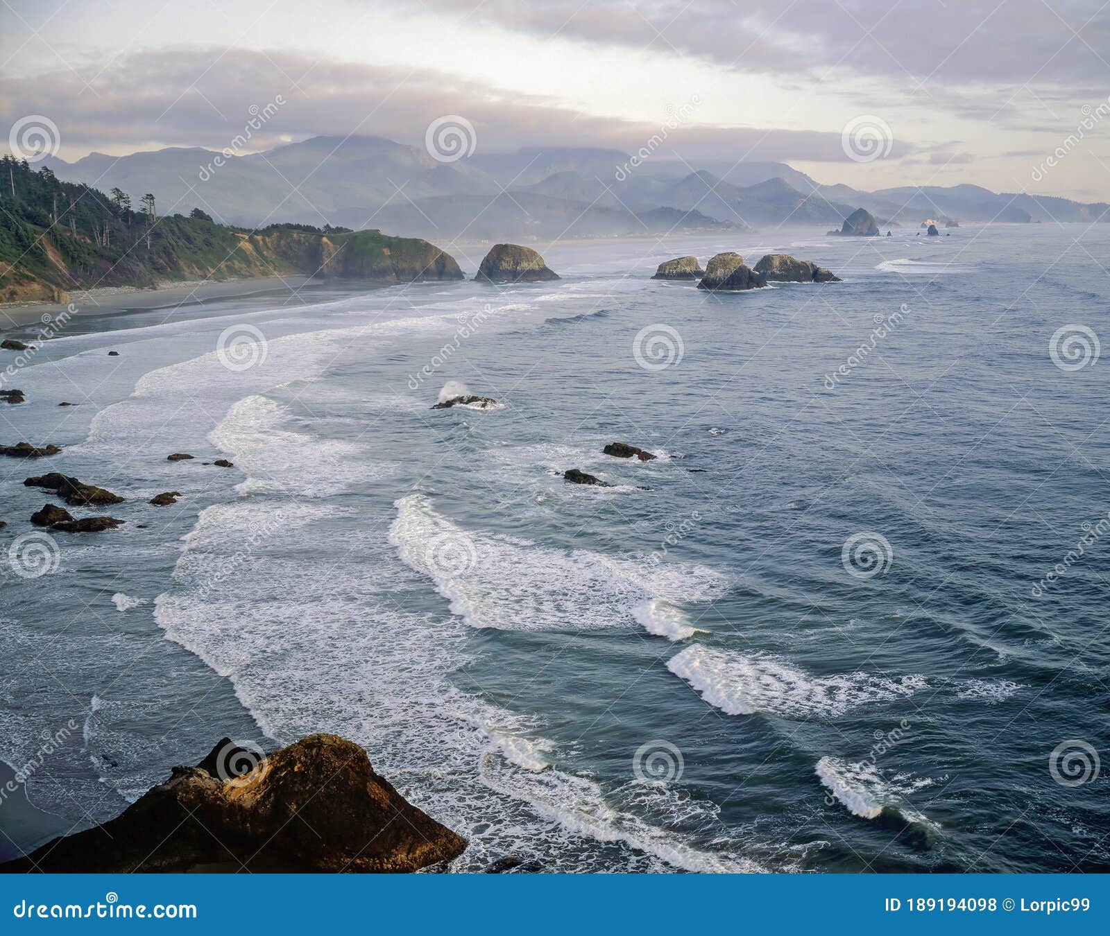 View of Crescent Beach in Oregon Stock Photo - Image of trees, beach ...