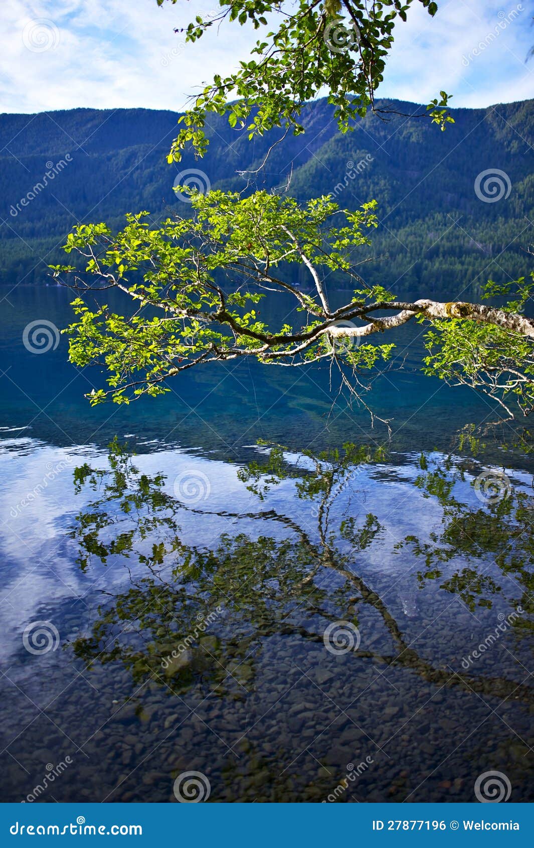 Crescent Lake Branch stock photo. Image of beach, recreation - 27877196