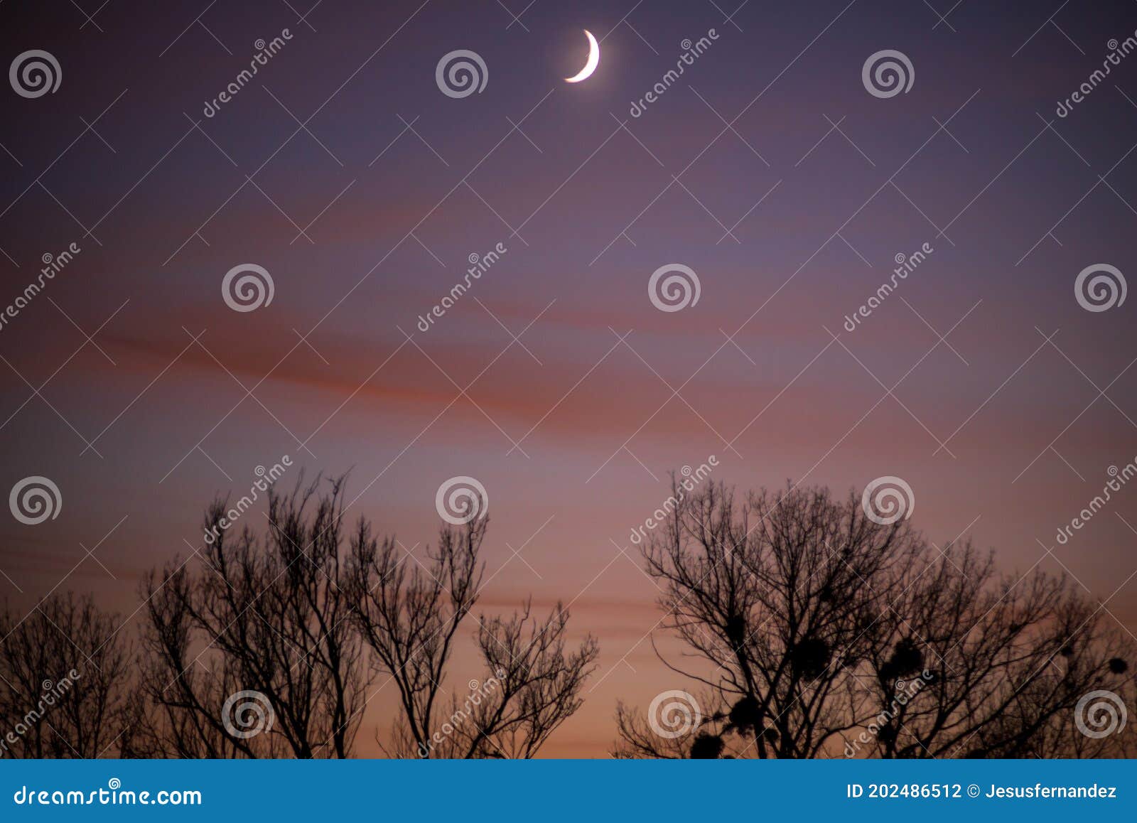 Crescent moon in autumn stock photo. Image of moon, phases - 202486512