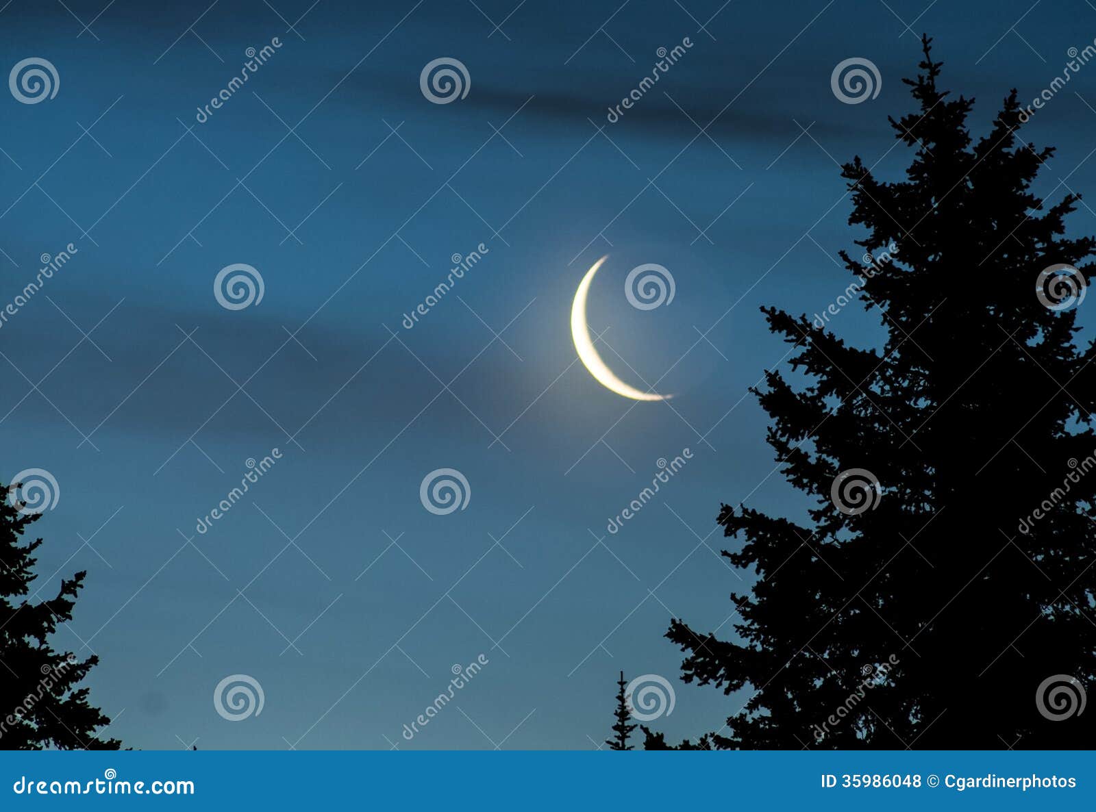 Crescent Moon at Night stock photo. Image of twilight - 35986048