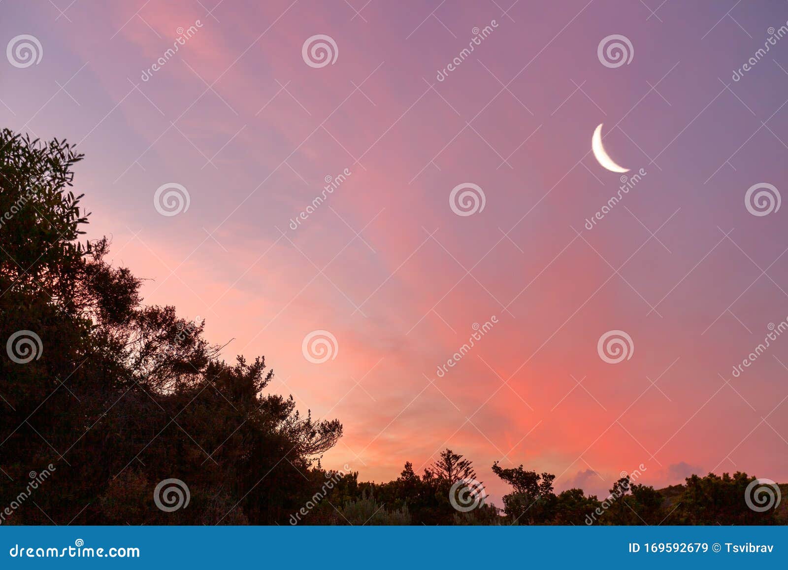 Crescent Moon in the Sky at Sunset with Tree Silhouettes. Stock Image ...