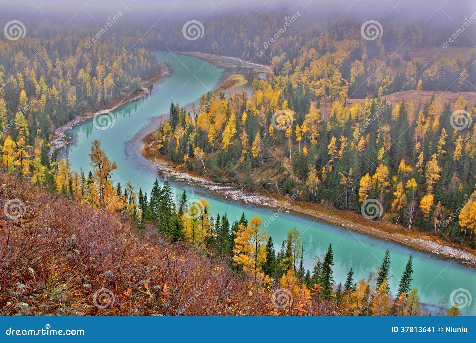 The Crescent River,moon Bay Stock Image - Image of forest, crescent ...