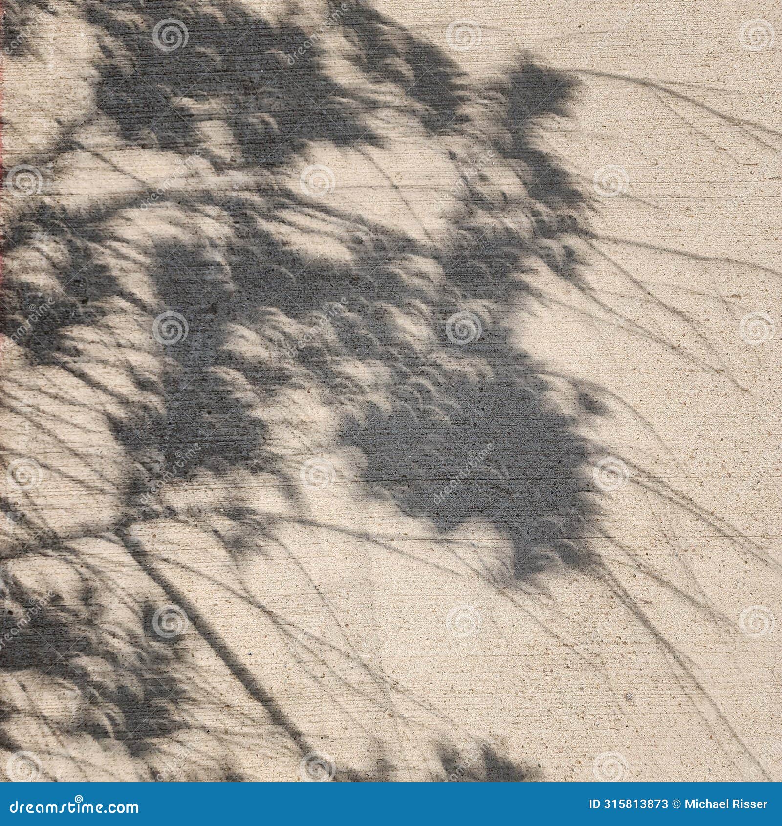 Crescent Shadows on Pavement during Total Eclipse in Dallas Stock Image ...