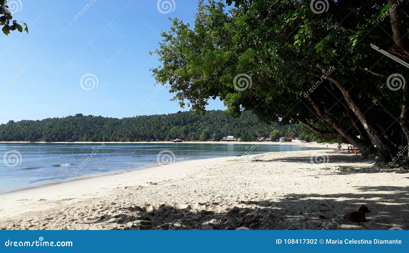 Cagwait Stock Photos - Free & Royalty-Free Stock Photos from Dreamstime