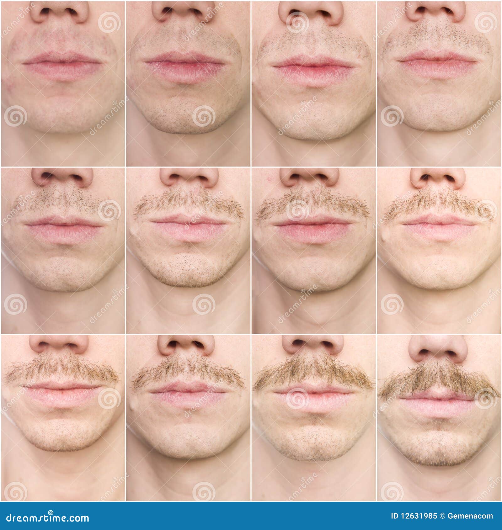 Crescimento do bigode imagem de stock. Imagem de cena - 12631985