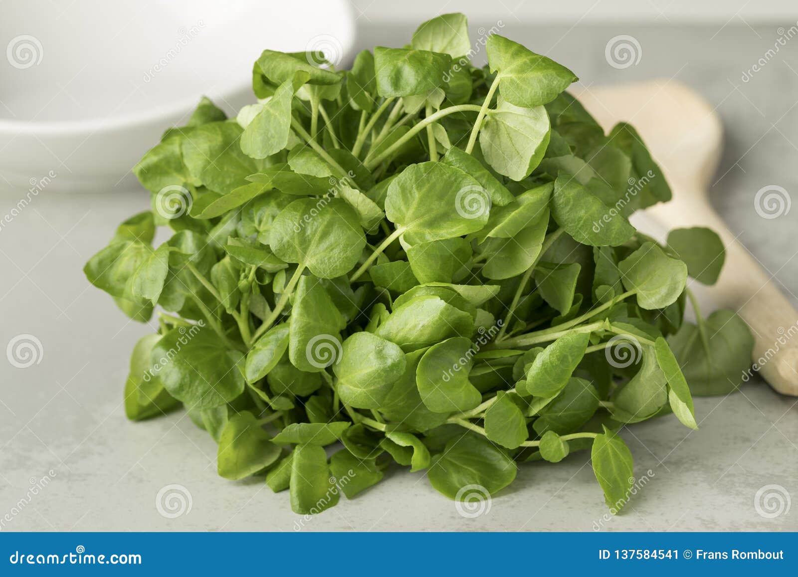 Crescione verde fresco immagine stock. Immagine di verde - 137584541