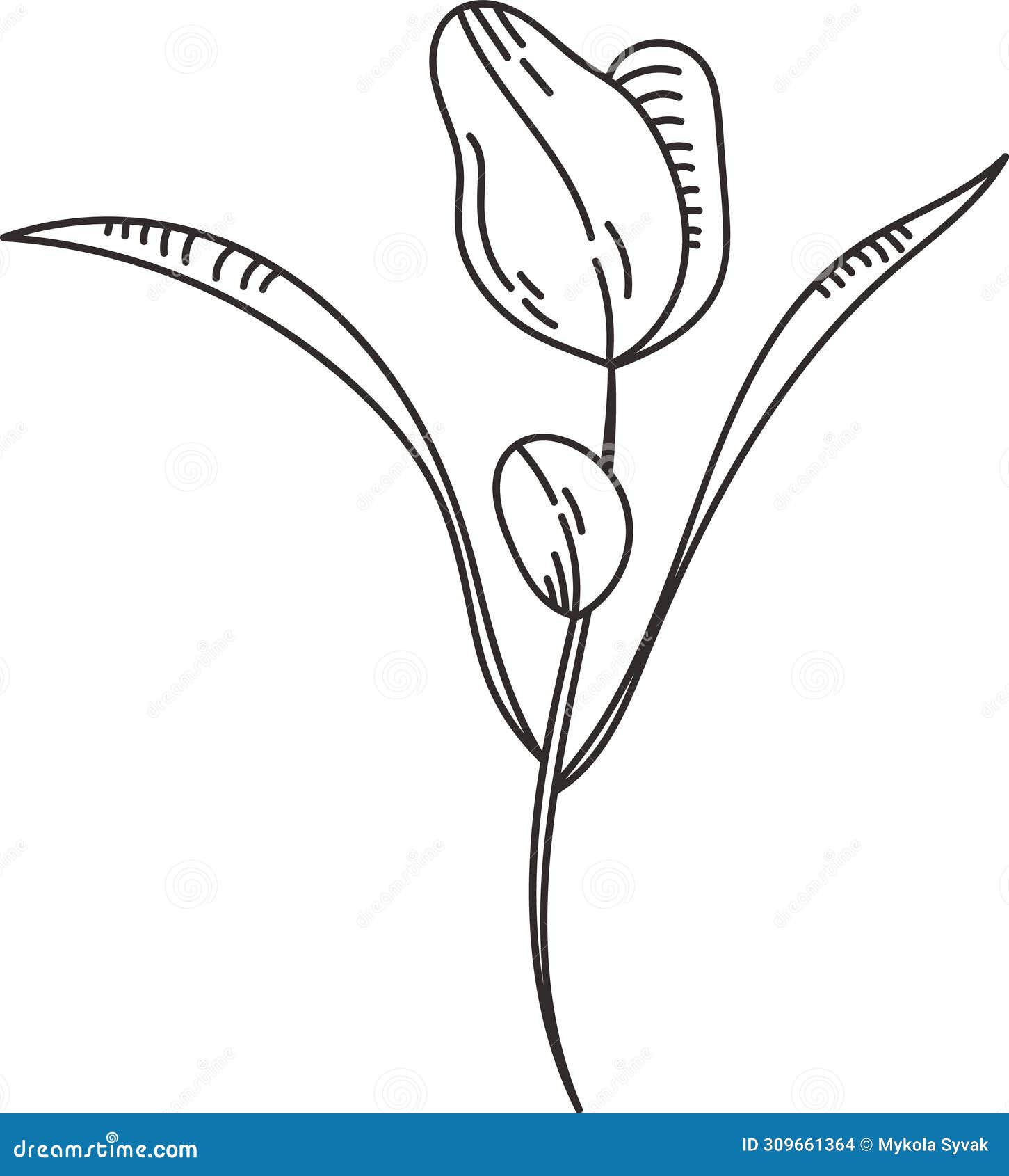 Cress Micro Greens Sketch stock vector. Illustration of sketch - 309661364