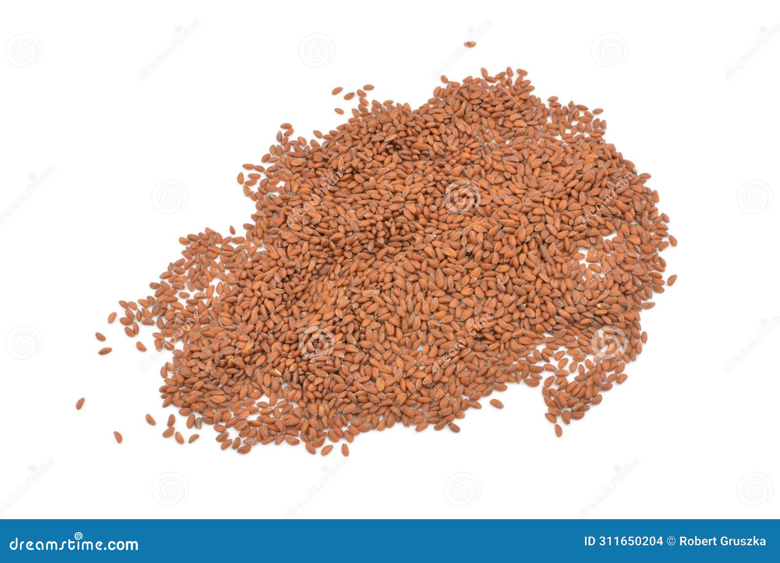 Cress seeds stock photo. Image of ingredient, grain - 311650204