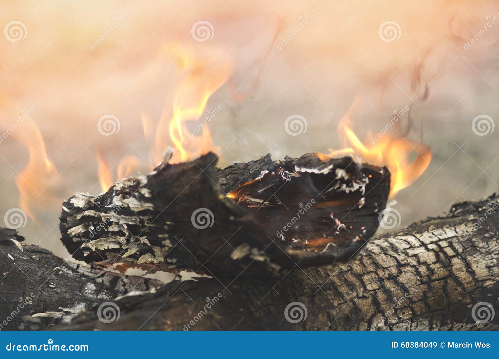 Crest of Flame on Burning Wood. Burned Charcoal and Ash from Fire Stock ...