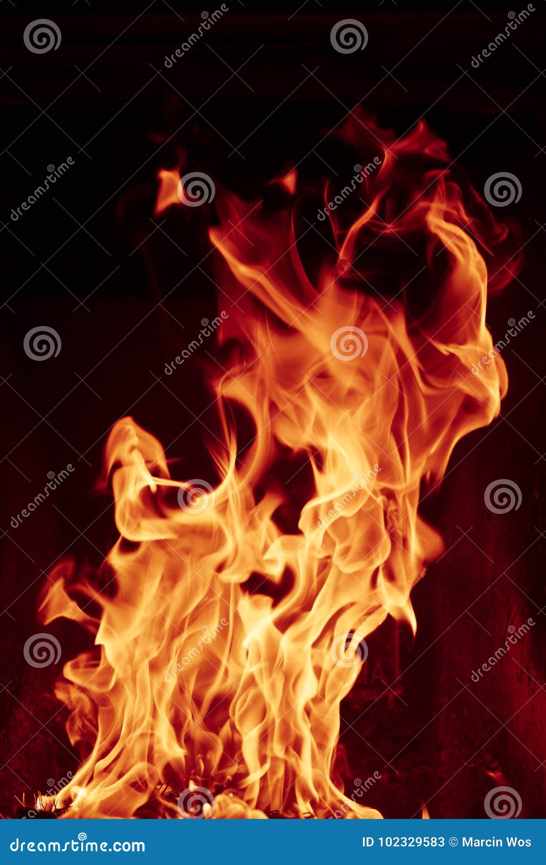 Crest of Flame on Burning Wood in Fireplace Stock Image - Image of ...