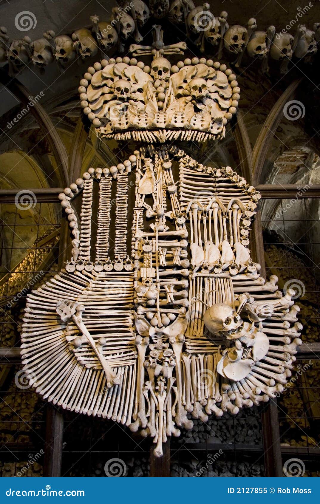 Crest, made from Bones stock image. Image of gothic, kutna - 2127855