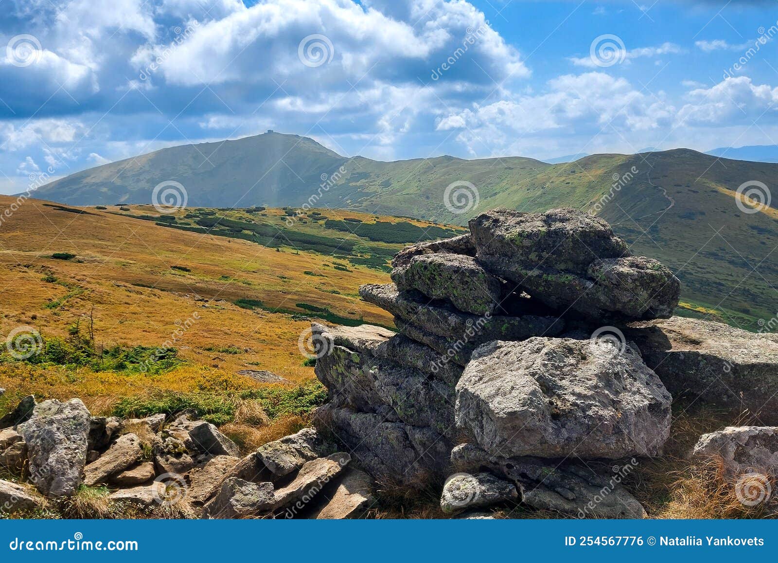Crest of the Mountain Range with Stone Placers and Slopes with Spruce ...