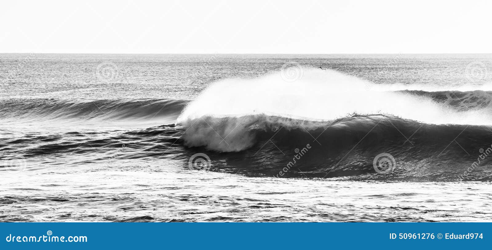 On the crest of a wave stock photo. Image of wind, white - 50961276