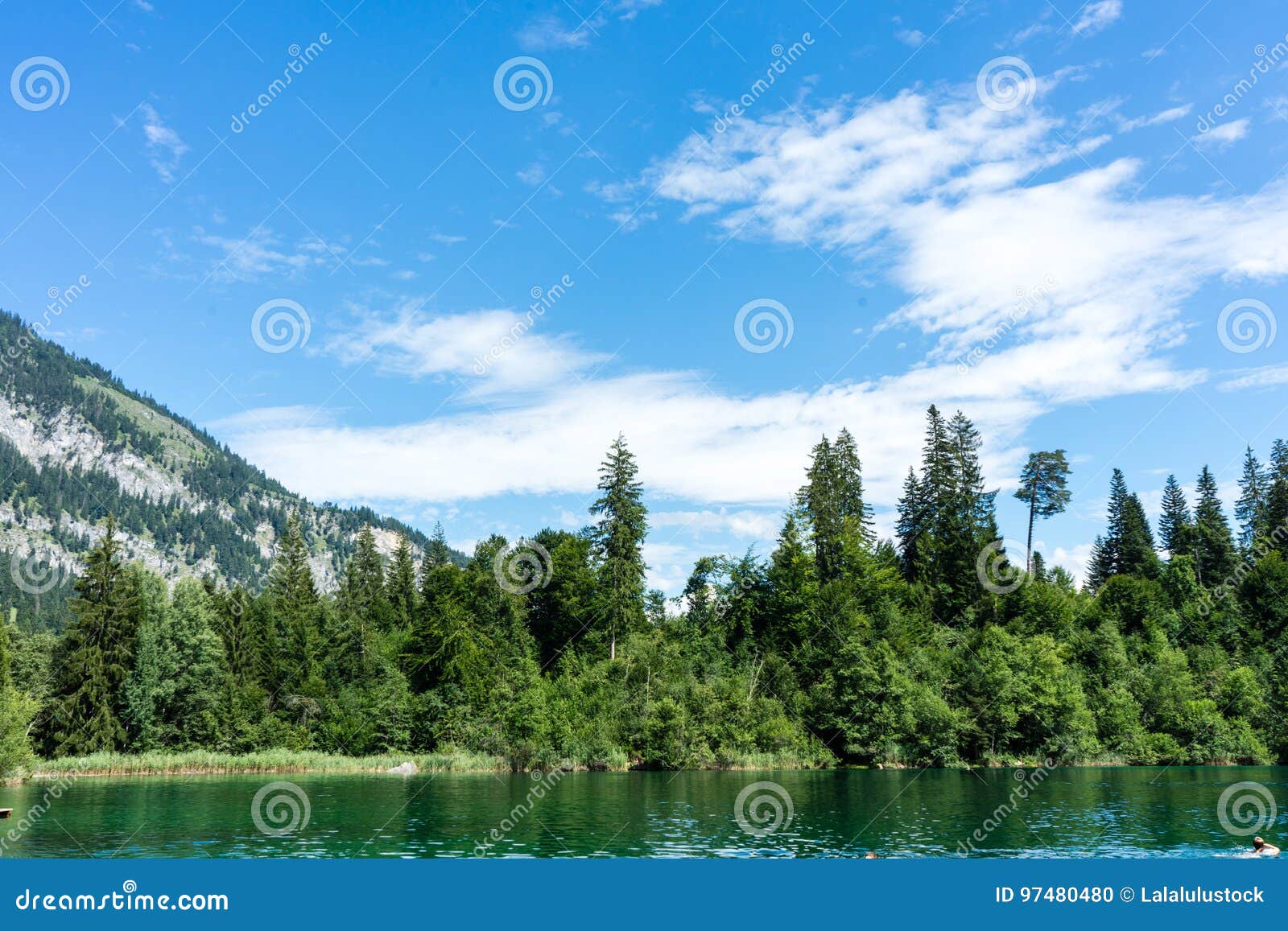 Crestasee with Mountain and Forest View Stock Photo - Image of alpine ...