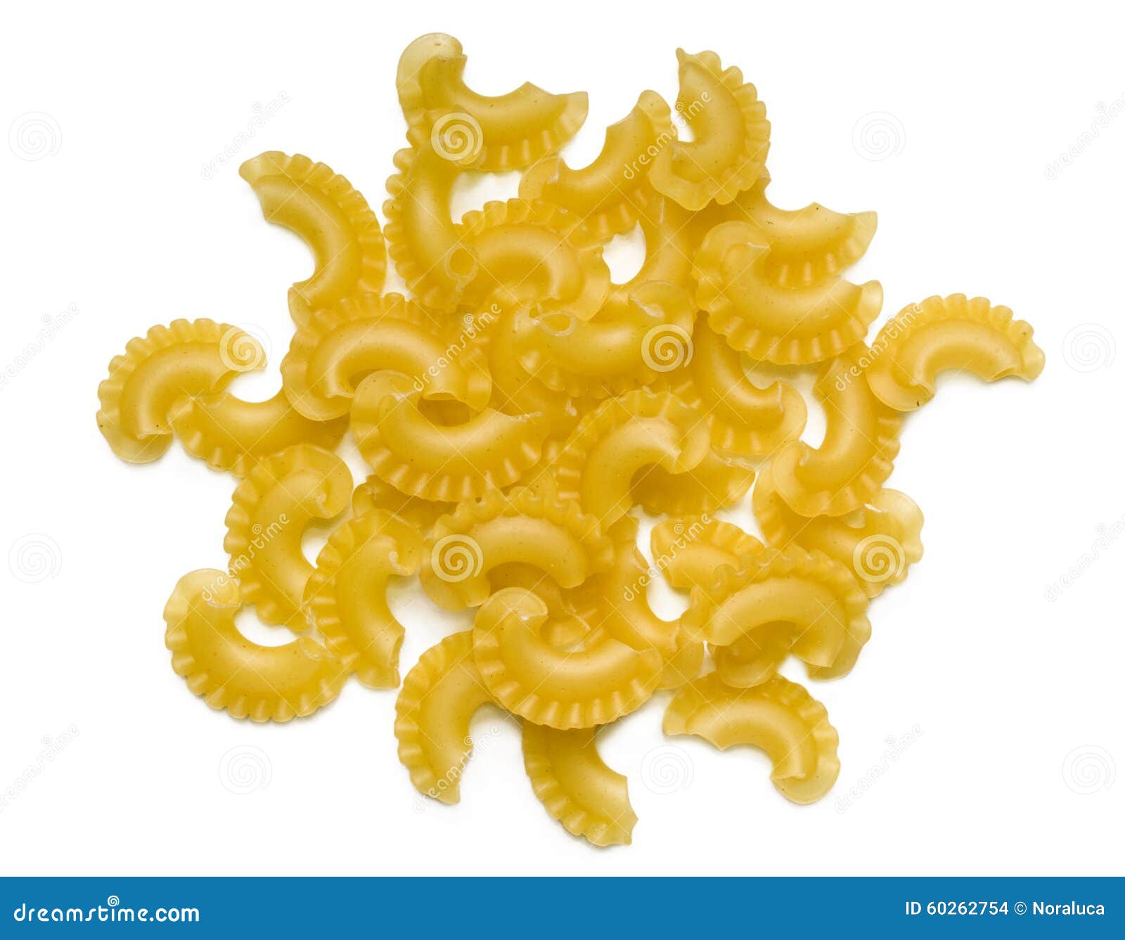 Creste di gallo on white stock photo. Image of closeup - 60262754