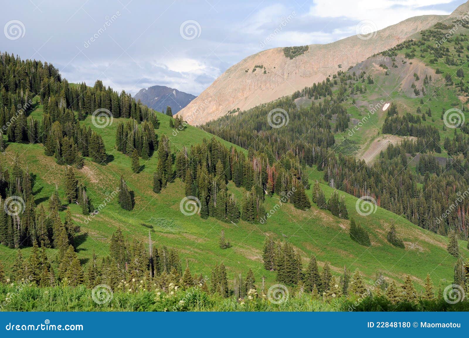 Crested Butte -- Mountain Slopes Stock Photo - Image of wilderness ...