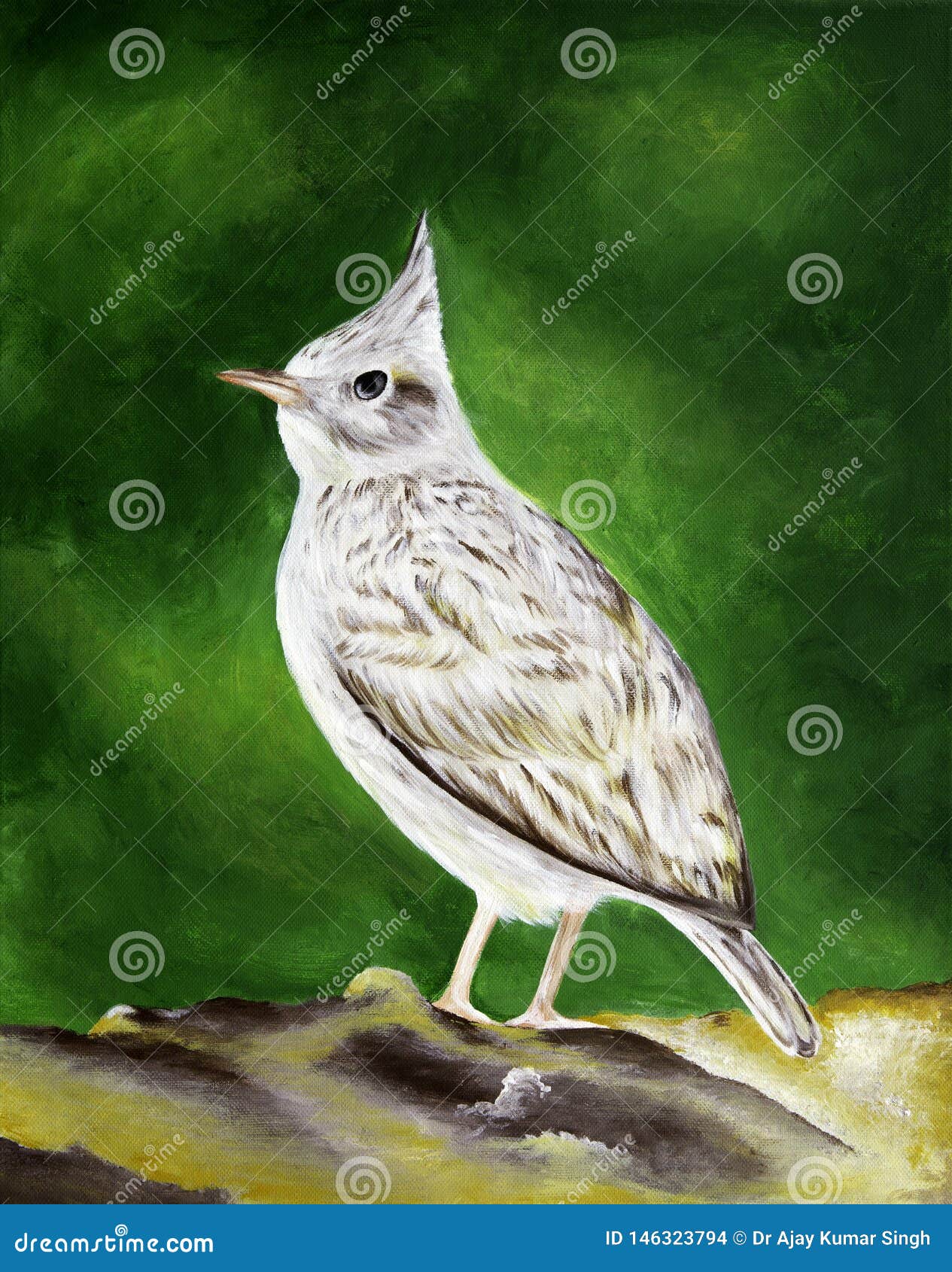 Crested Lark a Acrylic Painting on Canvas Stock Illustration ...