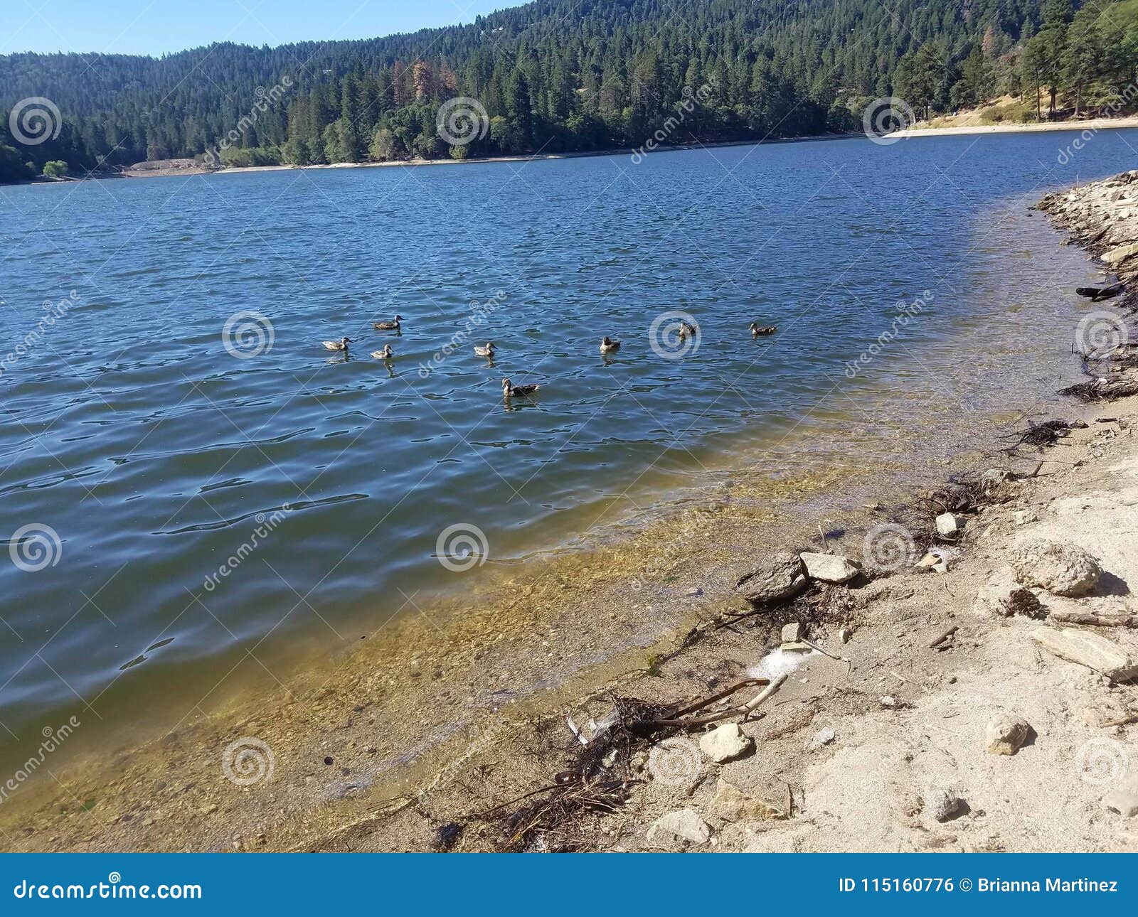 Lake Gregory stock photo. Image of crestline, lake, gregory - 115160776