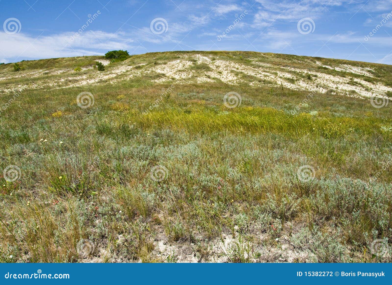 Cretaceous talus stock photo. Image of grass, period - 15382272