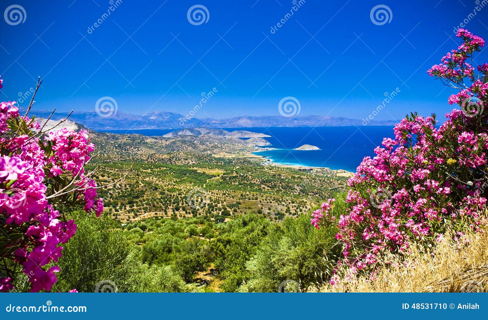 Crete stock photo. Image of east, land, color, blue, flowers - 48531710