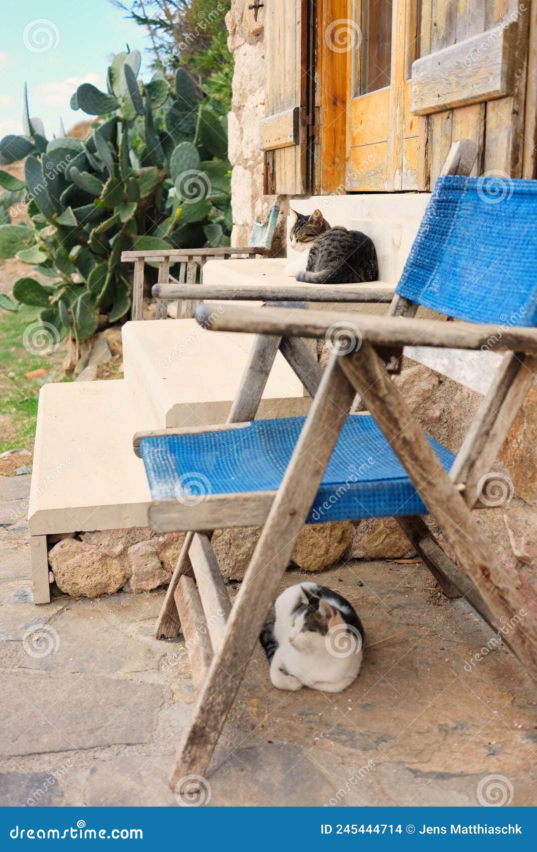 CRETE, GREECE - CIRCA SEPTEMBER, 2015: Cats Nap in Front of Their Home ...