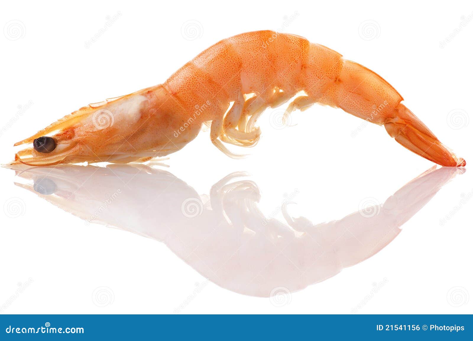 Crevette photo stock. Image du restaurant, repas, régime - 21541156