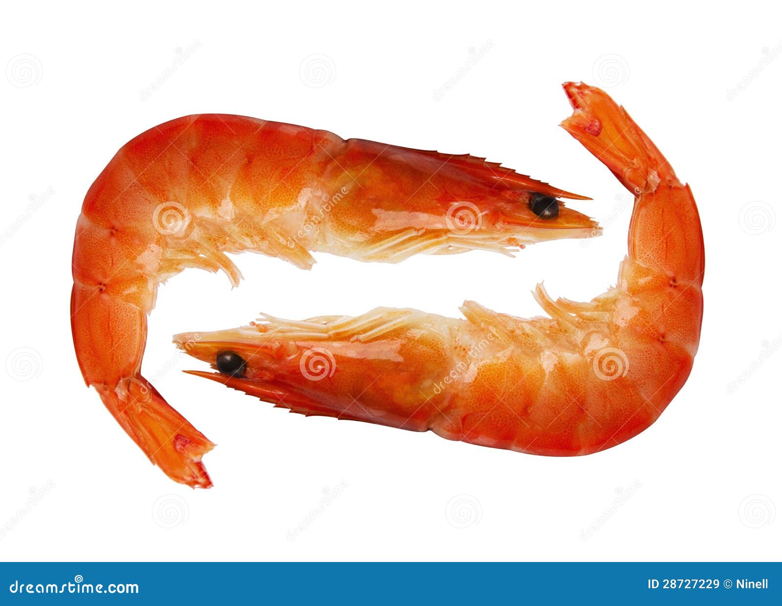 Crevette image stock. Image du nourriture, nutrition - 28727229