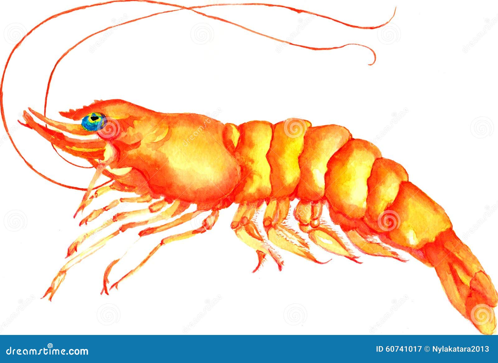 Crevette illustration stock. Illustration of animaux - 60741017