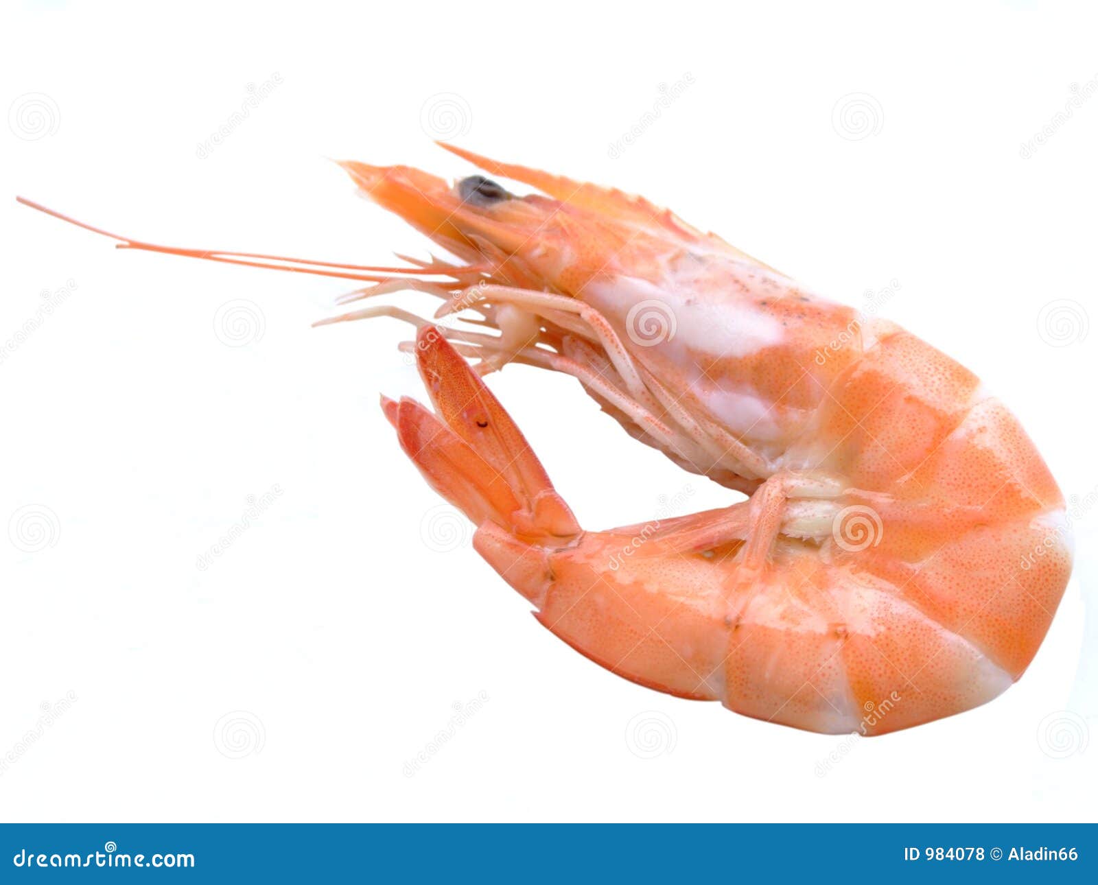 course de cote 1970 - Page 1166 - Histoires du sport automobile - Forum ...