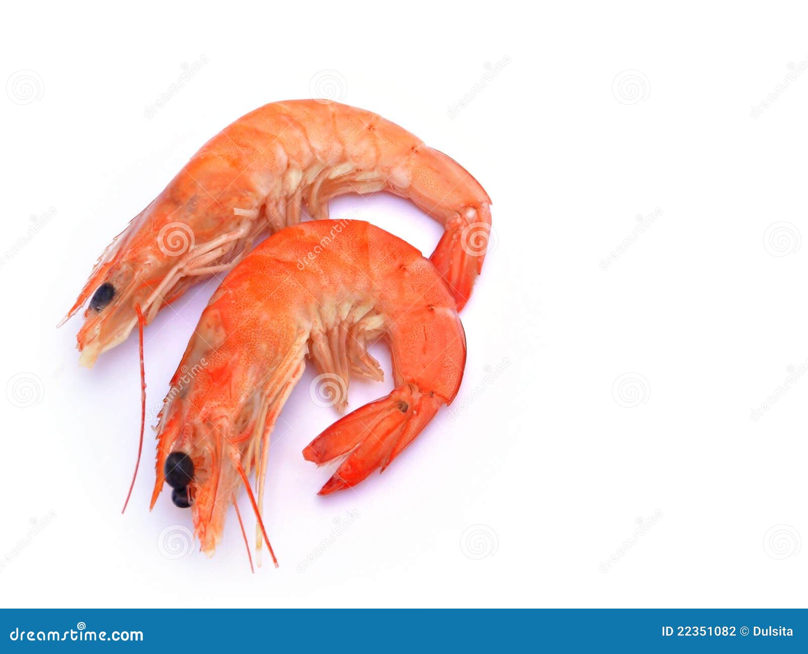 Crevette deux photo stock. Image du nourriture, dîner - 22351082